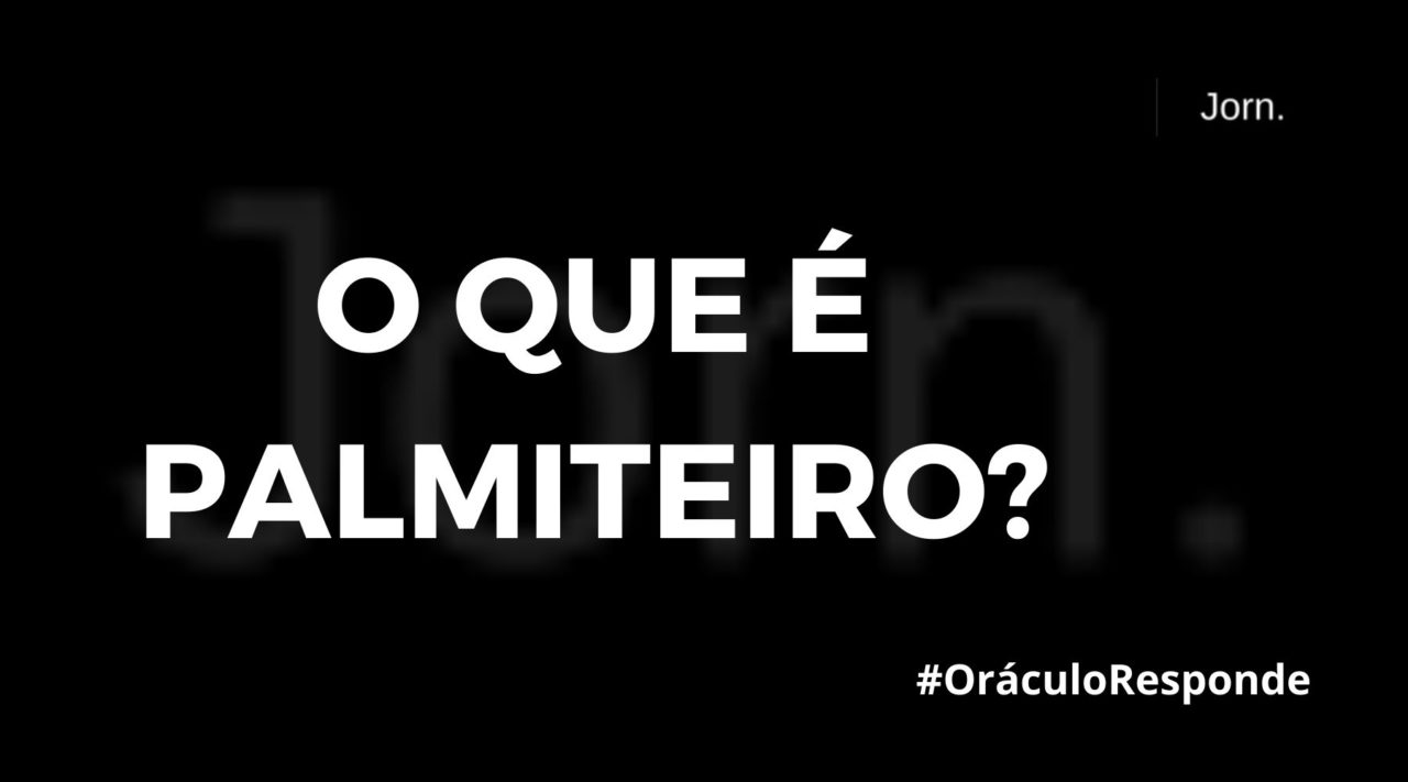 O que é palmiteiro?