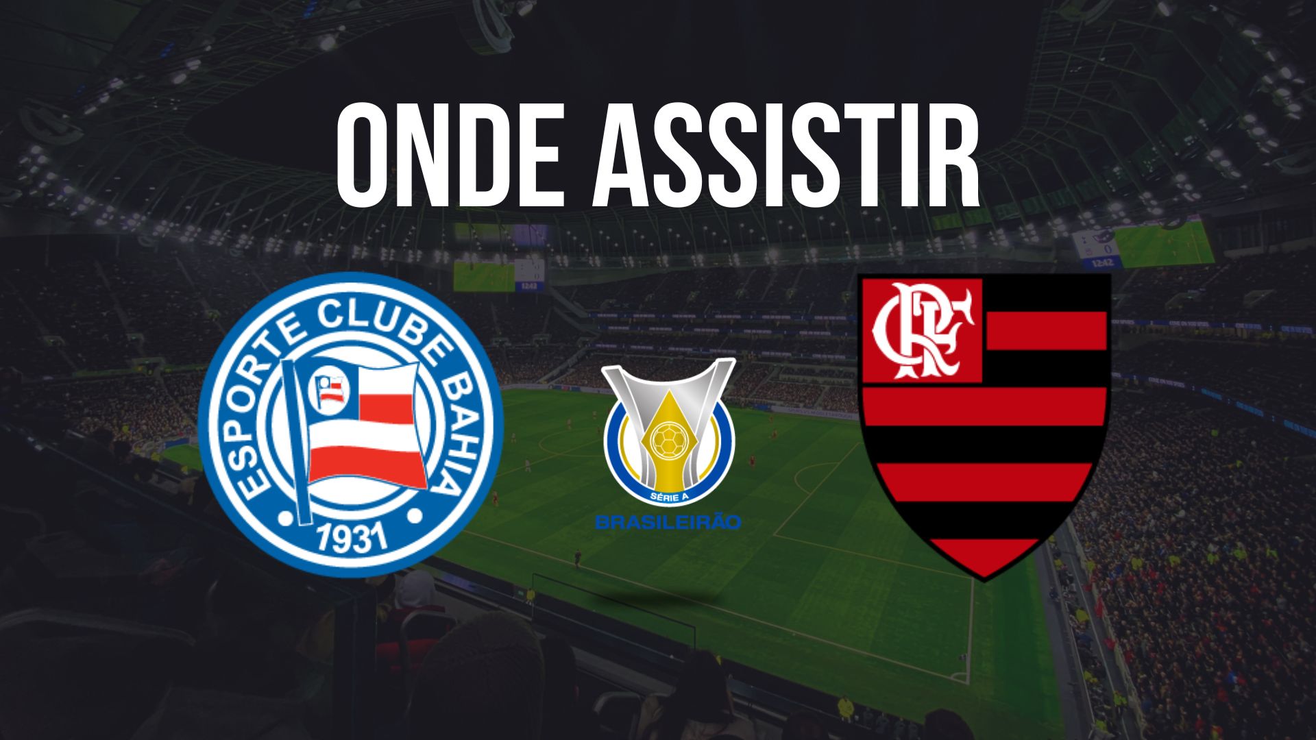 Bahia x Flamengo: Onde assistir, transmissão ao vivo | Brasileirão 2024 Bahia x Flamengo: Onde assistir, transmissão ao vivo | Brasileirão 2024